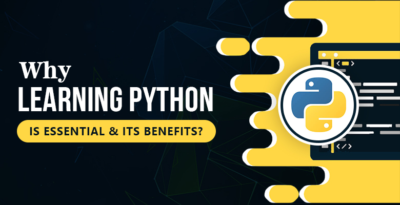 Why Learning Python Is Essential And Its Benefits Wscube Tech