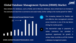 50+ Top DBMS Interview Questions and Answers 2024 With PDF